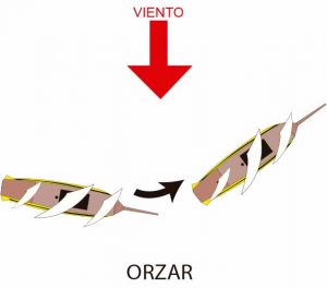 Maniobras de un buque de vela: conceptos básicos | Todo a babor